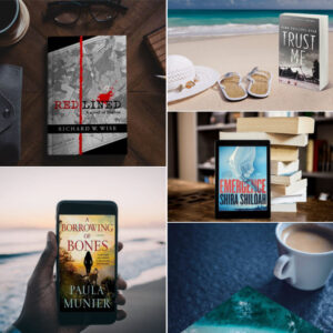 Create a Graphic Featuring Your Book - New Shelves Books