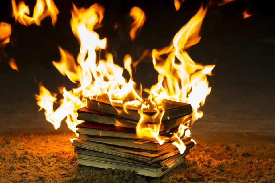 Subsidiary Rights - Trends 2021 - New Shelves Books